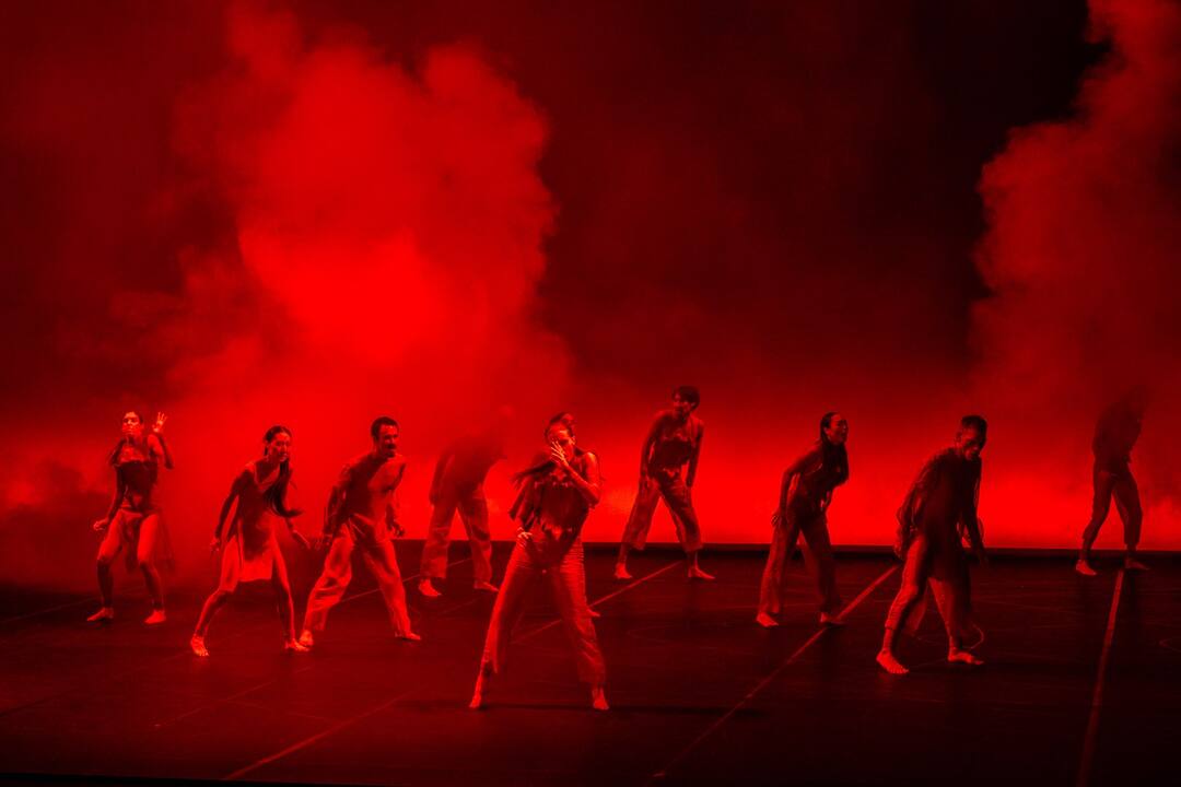 sasha waltz & guests